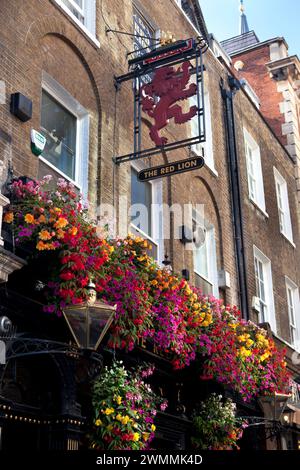 The Red Lion pub in York city, York, Yorkshire, UK, England, Red lion ...
