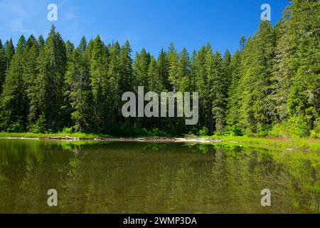 Fay Lake, Willamette National Forest, Oregon Stock Photo - Alamy