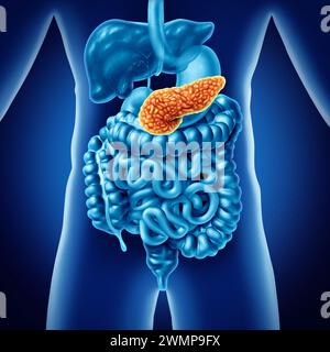 Pancreatic cancer anatomy concept and Pancreas malignant tumor symbol ...
