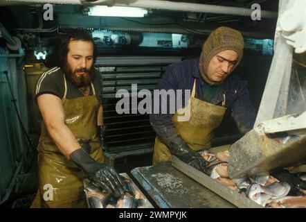 Klondykers - Eastern European factory fishermen trawlermen 1980s UK ...