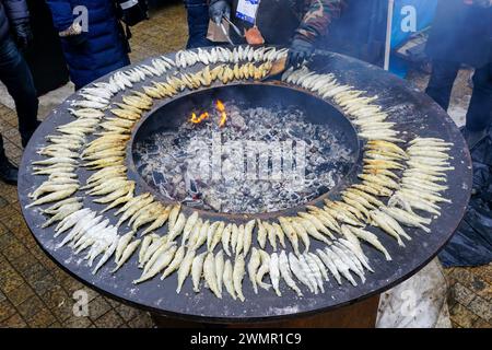 Many grilled smelt on a large round flat grill with open fire hole in ...