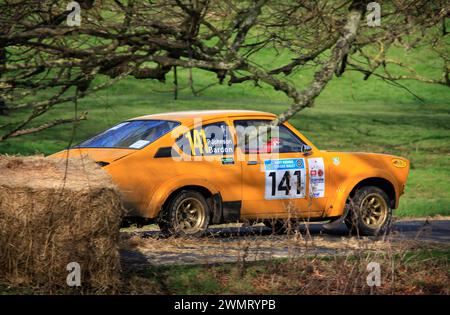 1970s Opel Kadett Rally car no 141 in action on Beverley Westwood East ...