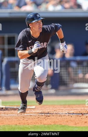 Port Charlotte, FL: New York Yankees designated hitter Carlos Narvaez ...