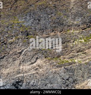 Weathered seaside rock face texture with parts of green and blue water ...