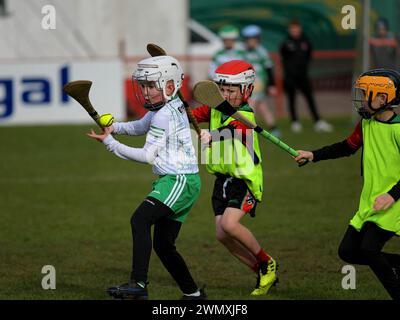 Primary school children from Doire Trasna and Faughanvale GAA clubs ...