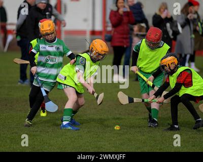 Primary school children from Doire Trasna and Faughanvale GAA clubs ...