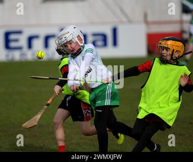 Primary school children from Doire Trasna and Faughanvale GAA clubs ...