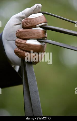 Detail of hands holding driving reins Stock Photo - Alamy