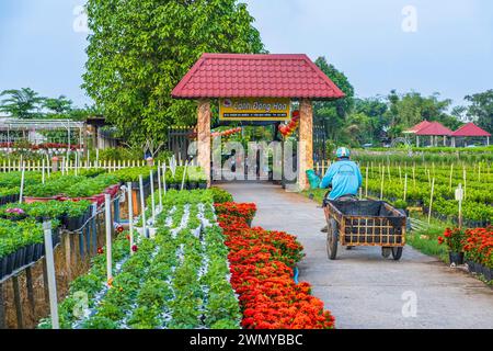 Sa Dec flower village in Dong Thap province southern Vietnam Stock ...