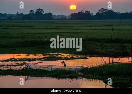 India, Assam, Majuli island, fishermen Stock Photo - Alamy