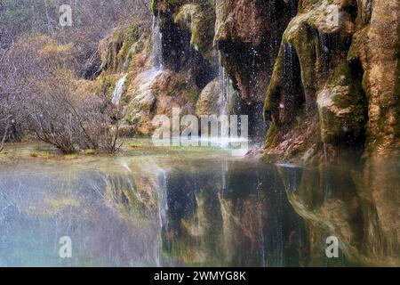Moss covered rocks, reflecting, pool, Wild Garden, Portland Japanese ...