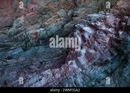 Vibrant biofilm bacteria proliferate on iron-rich rocks beside a leaf ...