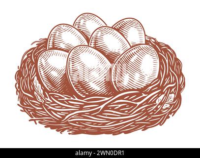 Eggs sketch. Vintage natural egg, broken shell. Hand drawn farming food ...