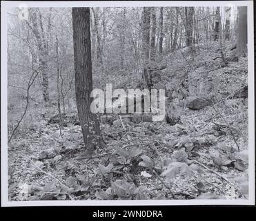 Deborah Sampson Rd. & Billings St., Mann's Mill area, site of wheel ...