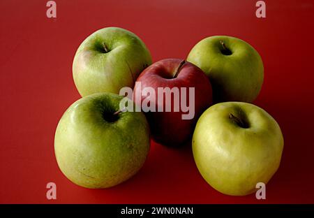 LEWISTON/IDAHO /USA- Apple fruit four green apples and one red apple 03 ...