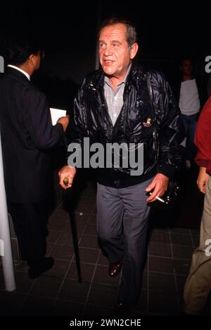 Alan King Circa 1980's Credit: Ralph Dominguez/MediaPunch Stock Photo ...