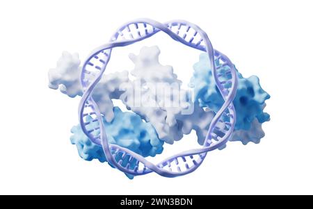 DNA and protein with biological concept, 3d rendering. 3D illustration ...