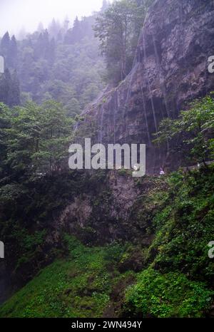 Rize Camlihemsin Sal Plateau, a unique place where green and sky come ...