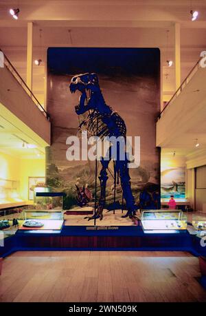 Dinosaur Hall At The Carnegie Museum Of Natural History, Pittsburgh ...