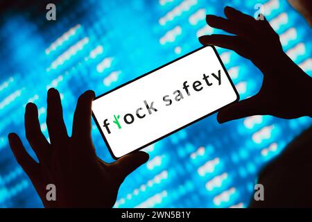 In this photo illustration, the Flock Safety logo is seen displayed on ...