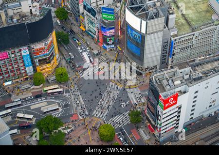 Digital billboards and pedestrians using the Shibuya Scramble Crossing ...