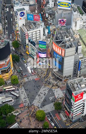 Digital billboards and pedestrians using the Shibuya Scramble Crossing ...