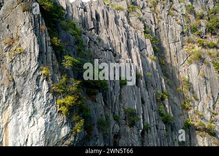 Close up detail of limestone karst cliffs Stock Photo - Alamy