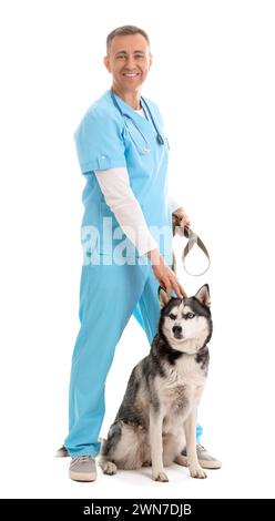 Male veterinarian with cute husky dog on white background Stock Photo ...