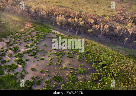 Chain Lagoons near Taroom Queensland Australia Stock Photo - Alamy