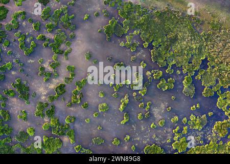 Aerial view of Chain Lagoons on Palm Tree Creek near Taroom Queensland ...