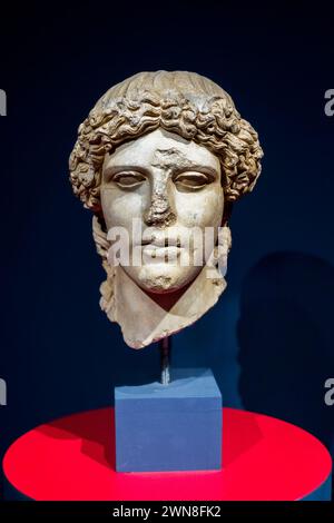 Head of Apollo, Kassel type - from the Medici collection - marble, 120 ...