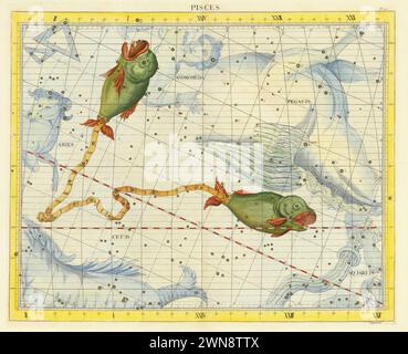 John Flamsteed , Detailed star chart of the constellation Sagittarius ...