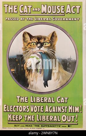 Force-feeding poster (suffragettes Stock Photo - Alamy