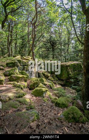 Path of the Gauls. Panoramic view of rocks and trees on top of the ...