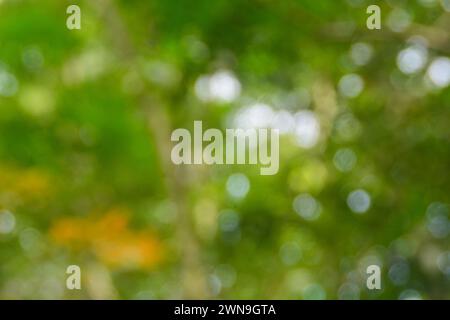 Abstract blur city park bokeh for a background Stock Photo - Alamy