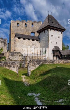 The Celje Castle in Slovenia. Medieval fortress in Slovenian Styria ...