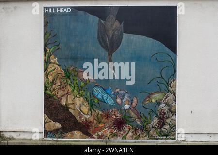 A marine mural with sealife and a diving cormorant at Hill Head Sailing ...