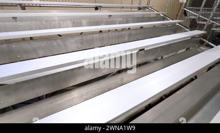 Sturdy Metal Bleachers Awaiting the Crowd’s Cheer Stock Photo - Alamy