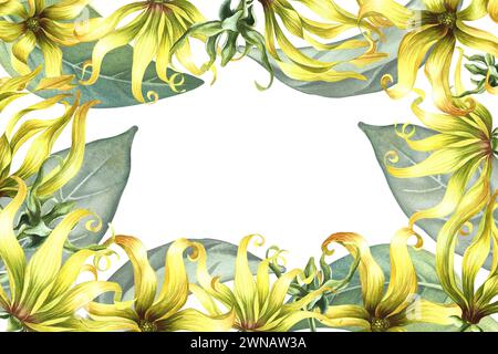 A frame with ylang-ylang flowers. A border with exotic fragrant yellow ...