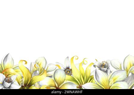 A banner with fragrant flowers of plumeria, frangipani, orange blossom ...