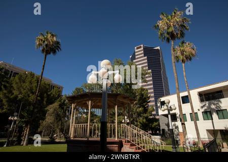 Afternoon view of palm trees framing the downtown skyline of Tucson ...
