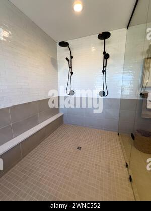 Contemporary Walk-In Shower with Dual Black Shower Heads Stock Photo ...