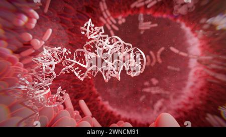 Illustration of the human gut microbiota Stock Photo - Alamy