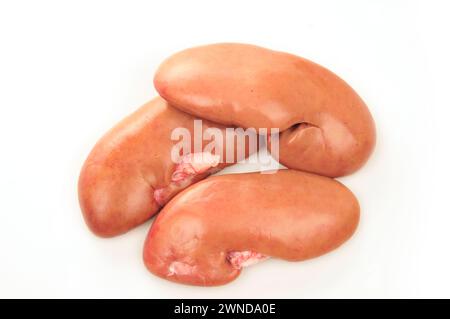 Pig kidney on a white background Stock Photo - Alamy
