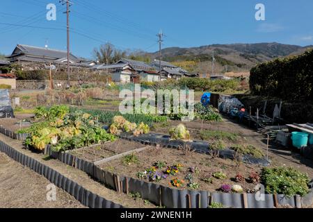 Vegetable garden on the Yamanobe no Michi trail, Nara, Japan Stock ...