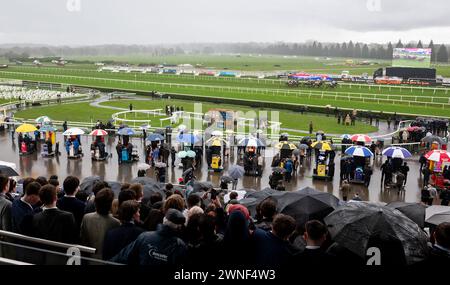 The runners in the Tips for every race at raceday-ready.com Mares ...