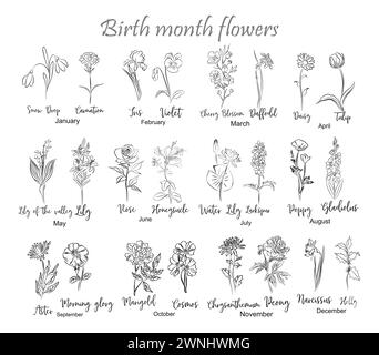 Birth month flowers chart line art drawings Stock Vector Image & Art ...