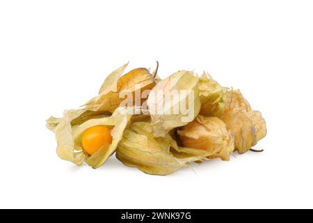 Many ripe physalis fruits with calyxes isolated on white Stock Photo ...