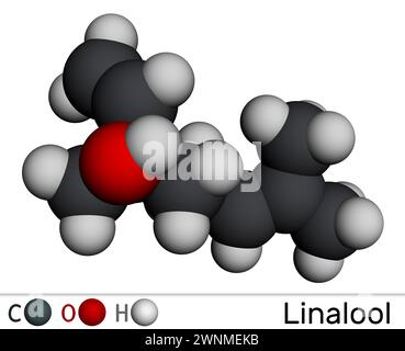 Linalool molecule. It is terpene alcohol. Molecular model. 3D rendering ...