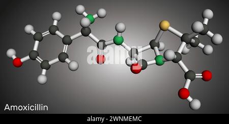 Amoxicillin drug molecule. It is beta-lactam antibiotic. Molecular ...